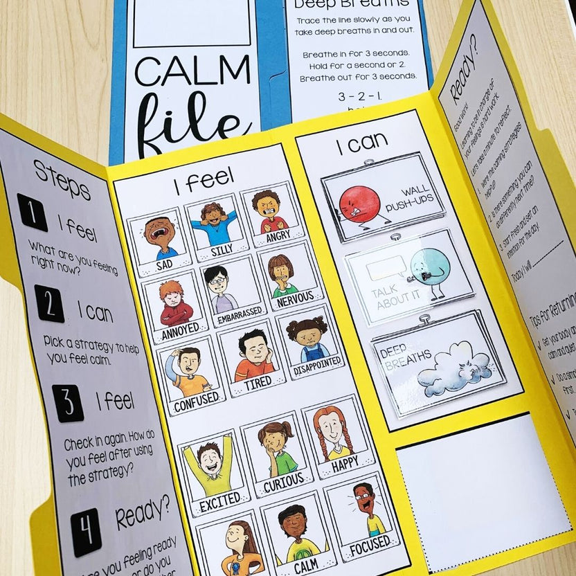 Social Emotional Workshop