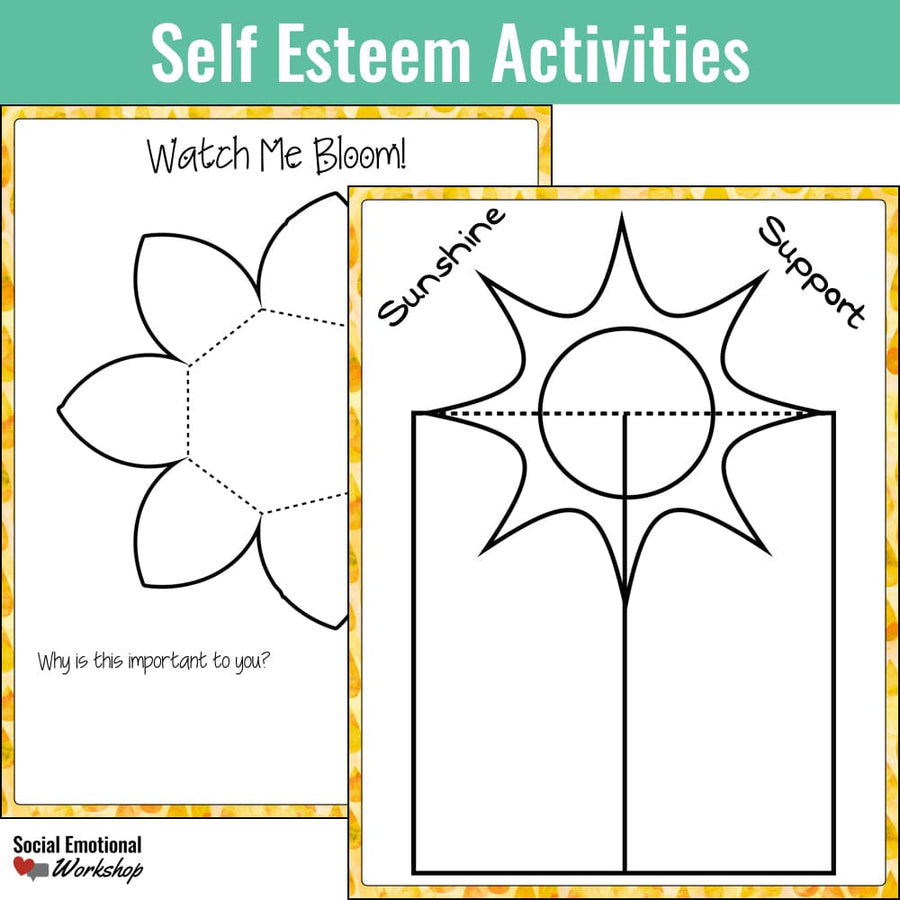 Self Esteem Lesson, Survey, and Activities – Social Emotional Workshop